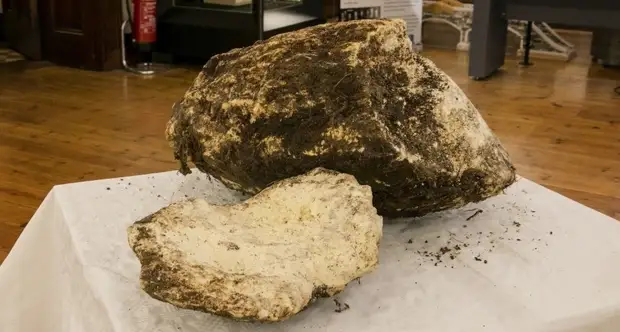 Oli de pantà: per què els antics habitants d'Irlanda van enterrar la mantega a la torba
