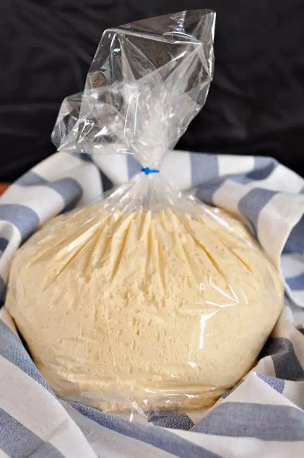 Universal yeast express dough: ibutang sa refrigerator sulod sa usa ka semana!