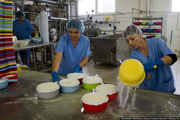 How Adyghe cheese is made