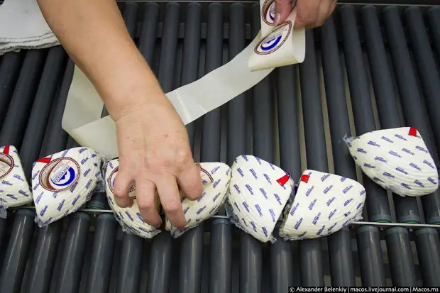 How Adyghe cheese is made