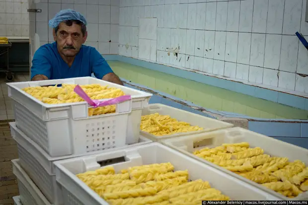 How Adyghe cheese is made