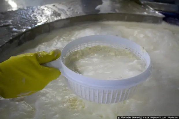 How Adyghe cheese is made