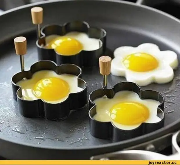 Gadgets en la cocina