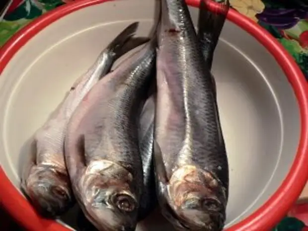 Frozen herring cutlets