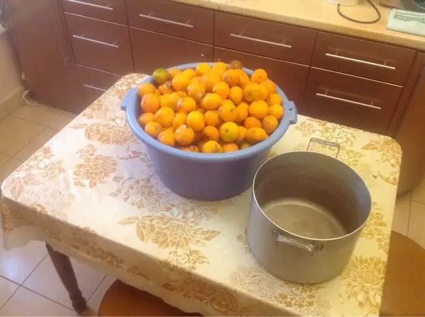 ເຮັດ moonshine ຈາກ tangerine