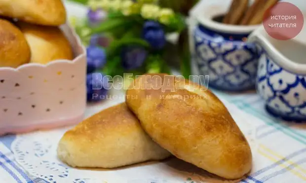 empanadas de masa preparadas compañeiro de viaxe