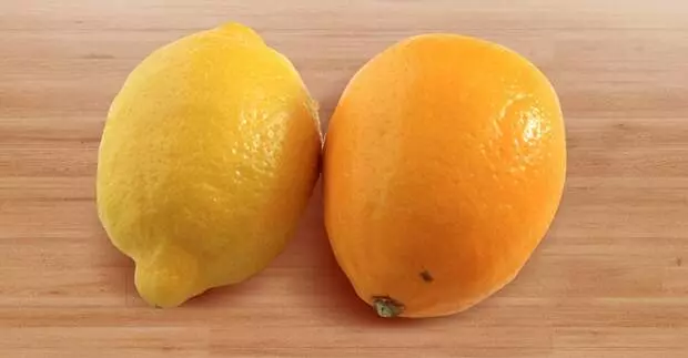 باقاعدہ لیموں اور میئر کے لیموں کے درمیان کئی فرق۔ اب میں فرق جانتا ہوں!