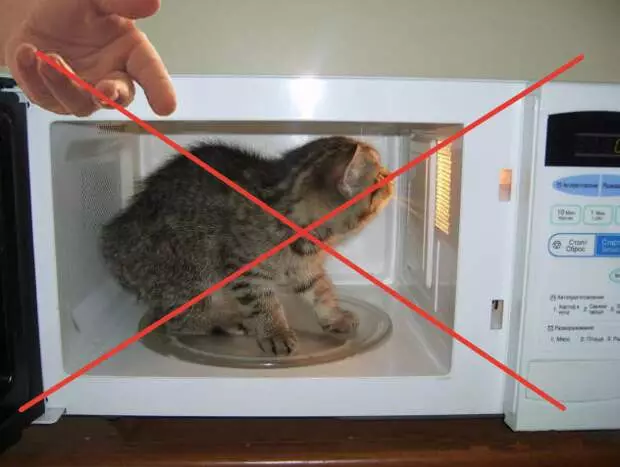What foods should not be put in the microwave