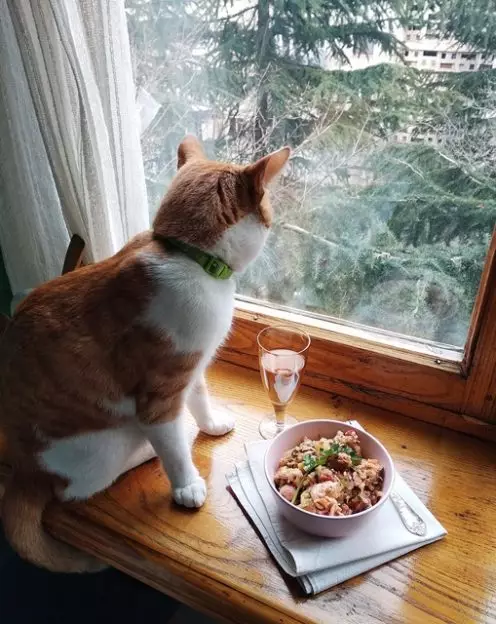 Guisado à roça com frango e linguiças defumadas