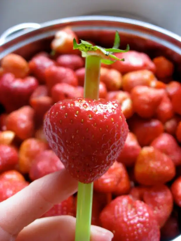 22. Xwarinek bikar bînin ku strawberries ji pelên xwarin, hilber, şîret, hîle paqij bikin