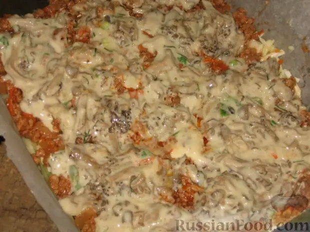 I-lasagna yaseUkraine