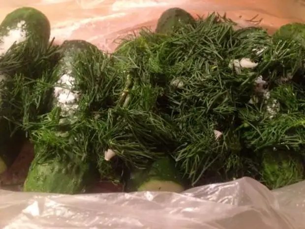 Snel ingelegde komkommers in een zak