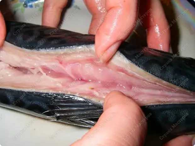 klaasị isi nri afọ ọhụrụ nri nri nri mackerel na-atọ ụtọ maka tebụl oriri foto ngwaahịa nri 5