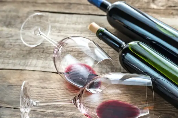 All about wine: 9 most popular varieties