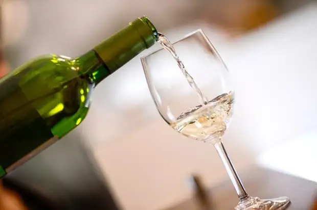 All about wine: 9 most popular varieties