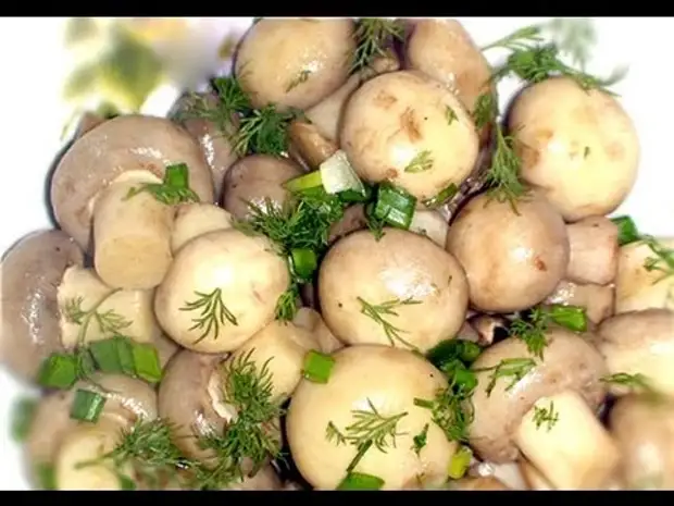 Champignons yatoranijwe: kwerekana inzira