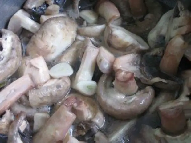 Champignons yatoranijwe: kwerekana inzira