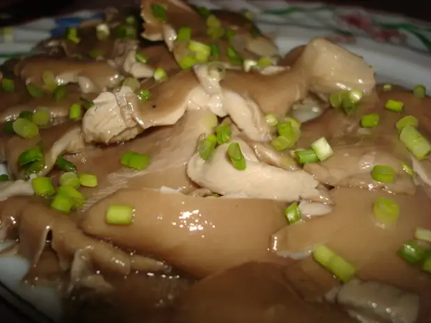 Sa unsa nga paagi sa husto nga pag-pickle sa oyster mushroom