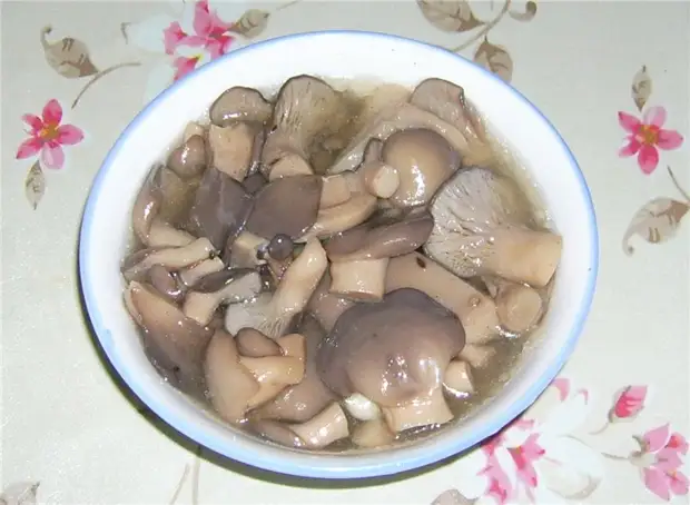 Sa unsa nga paagi sa husto nga pag-pickle sa oyster mushroom