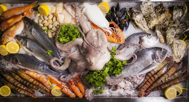Van sardientjies tot blaasvisse: 20 prettige feite oor vis