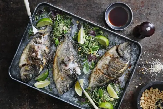 Från sardiner till blåsfisk: 20 roliga fakta om fisk