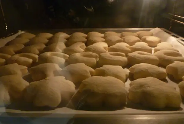 Pan di zenzero fatto in casa