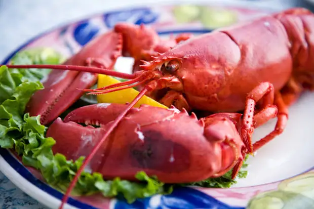 17. Homard (homard), le monde entier