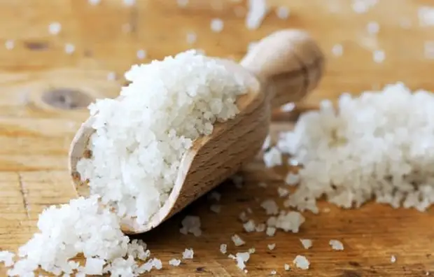 Gastronomic educational program: five types of salt