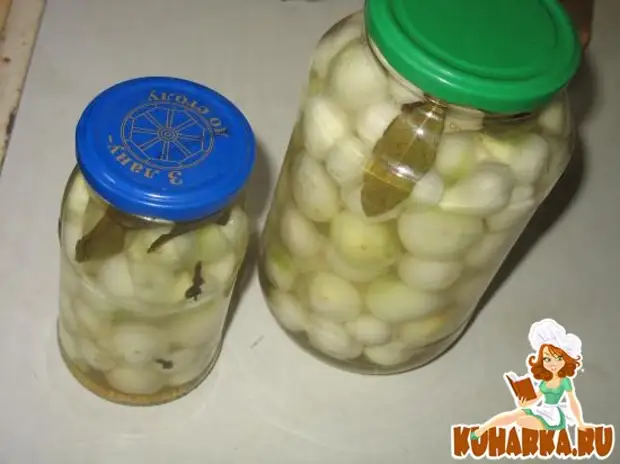 Bawang jeruk kecil