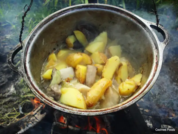 Li-mushroom tsa merung tse nang le litapole, tranelate e bolila le litlama