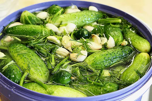 Leicht gesalzene Gurken nach Omas Rezept