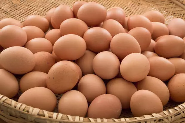 Wie wählt man die richtigen Eier aus