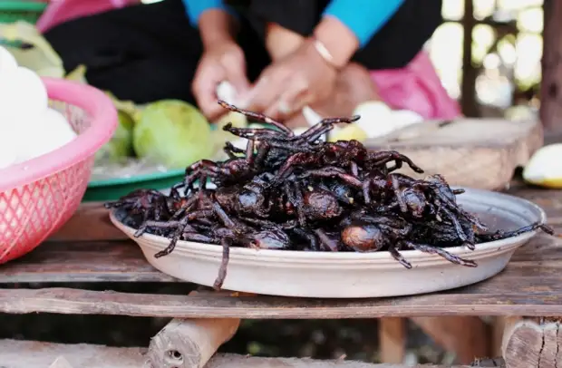 胆小的10种海外美食