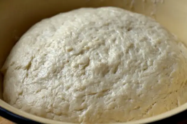 خميري ڪيڪ dough