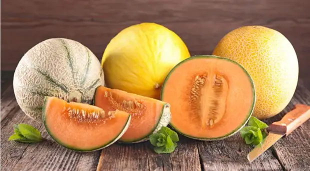 How to choose the most delicious melon correctly