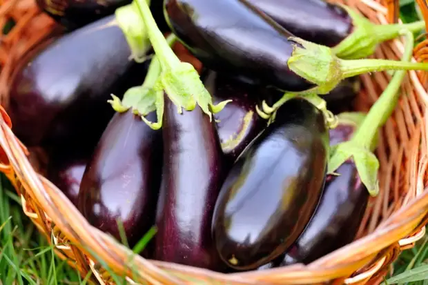 Eggplant amin'ny saosy tantely