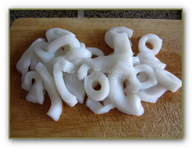 rings squid