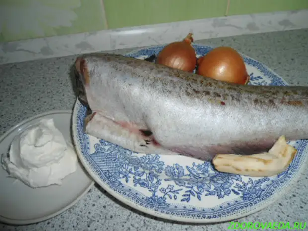 Peixe cocido