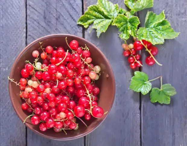 কেফির নেভিগেশন berries সঙ্গে পাই