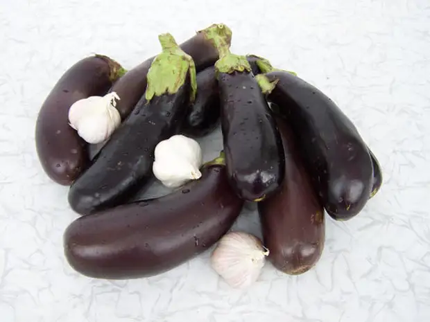 Aubergine lykas paddestoelen appetizer