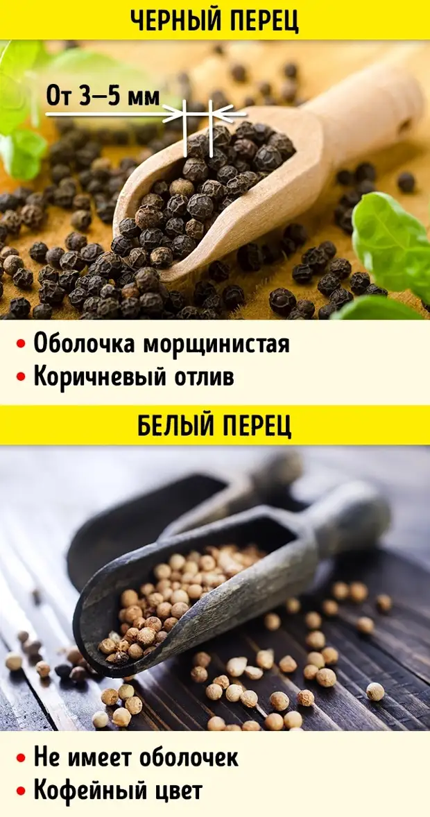 Otu esi amata ihe dị iche iche ngwa nri na ahịhịa sitere na adịgboroja