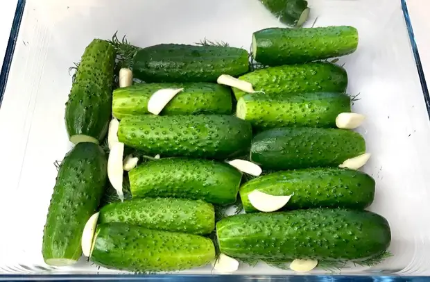 esi esi nri cucumbers nnu nnu na mmiri ịnweta mmiri