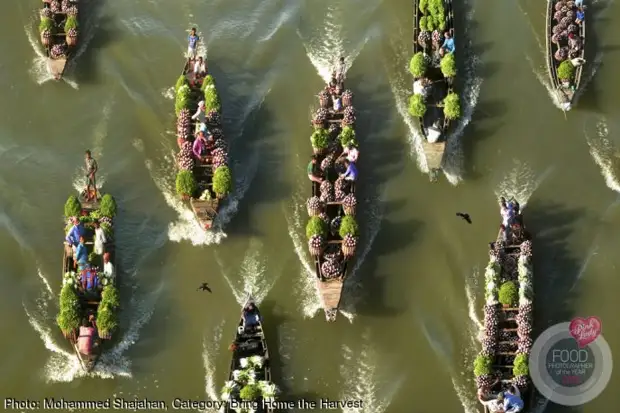 2018 चे सर्वोत्तम खाद्यपदार्थ फोटो