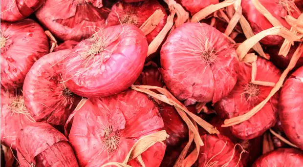 Cómo cocinar cebollas: amarillas, blancas, rojas, verdes y chalotas.