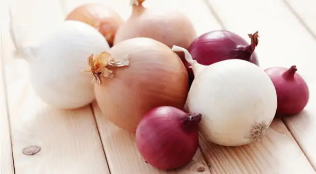 Cómo cocinar cebollas: amarillas, blancas, rojas, verdes y chalotas.