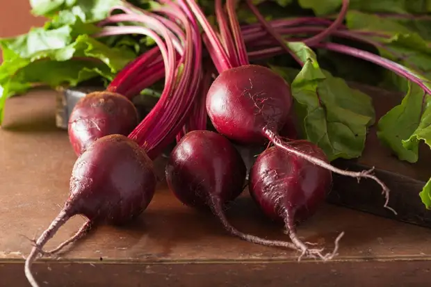 Beet Salad Recipes Without Mayonnaise