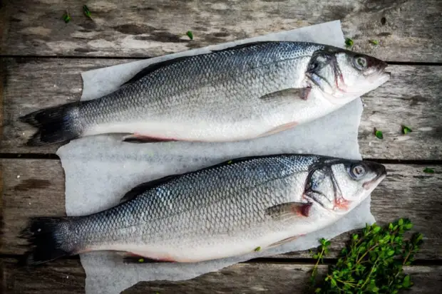 Dorada kapena bass m'nyanja: zomwe mungasankhe komanso kuphika kunyumba. Chithunzi nambala 2