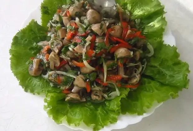 salad gyda bron madarch