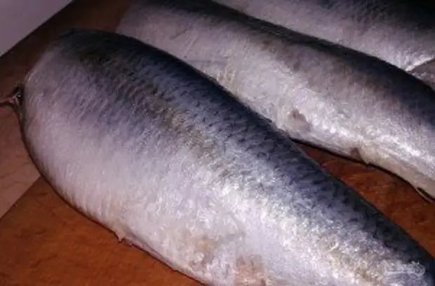 Trondro am-bifotsy herring homemade - sary dingana 1